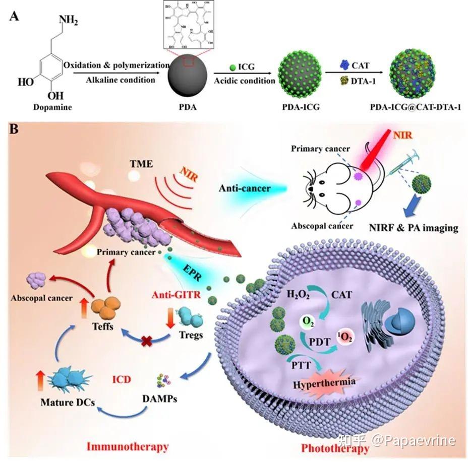 文献阅读/翻译（3.11）——PDA - 知乎