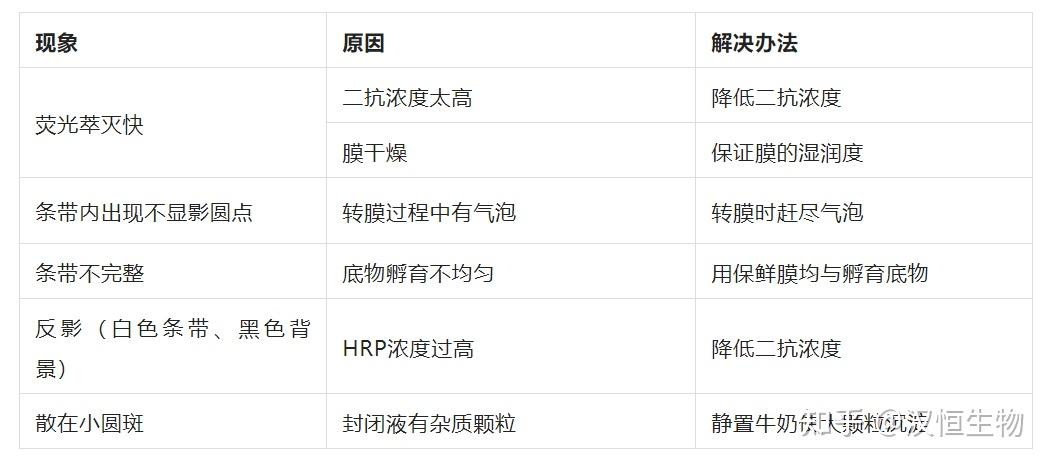 WB常见问题分析，教你做出漂亮的Western Blot数据 - 知乎