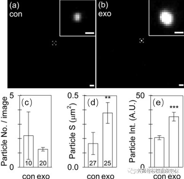 文献解读：一个表格让你全懂PKH标记外泌体！ - 知乎