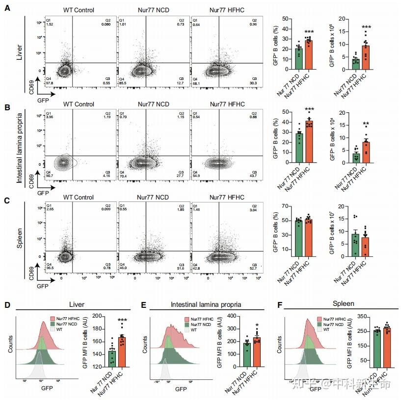 Hepatology（IF 17.425）| 明尼苏达大学Revelo教授团队通过单细胞转录组揭示肠道菌群加重脂肪肝的潜在机制 - 知乎