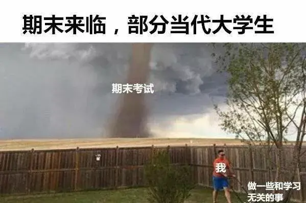 期末考试复习专用表情包哈哈哈哈，真的笑死，不说了，我去学习了！！！ 知乎