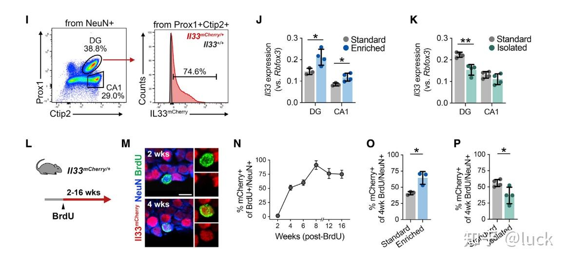 Microglial Remodeling of the Extracellular Matrix Promotes Synapse ...