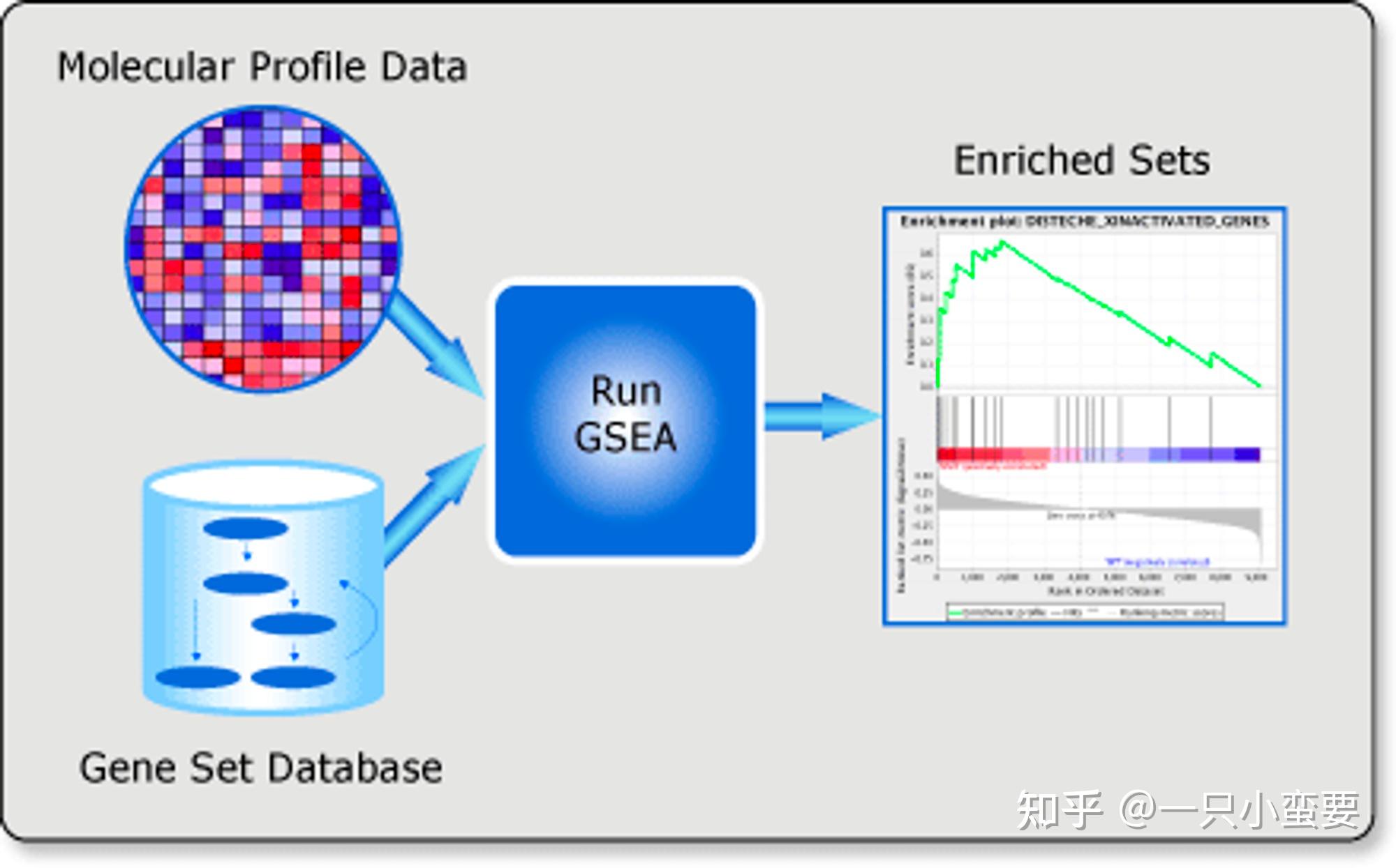 看完还不会来揍我 | GSEA富集分析详解（一）—— 代码实操 | MSigDB数据库介绍 | 附完整代码 + 注释 - 知乎