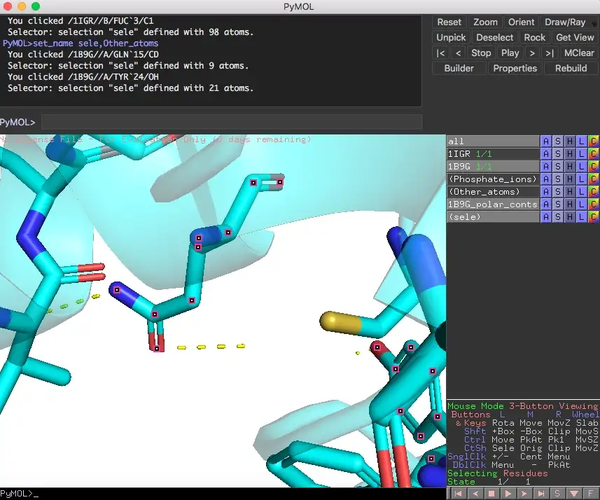 使用 PyMOL 可视化蛋白质-蛋白质对接 - 知乎