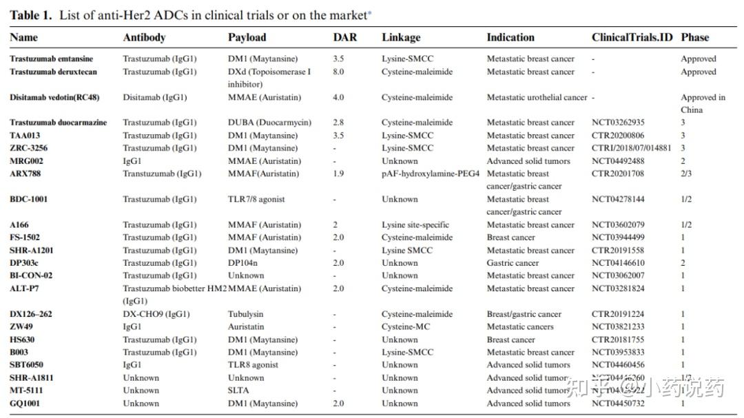 Her2靶向ADC的新发展策略和挑战 - 知乎