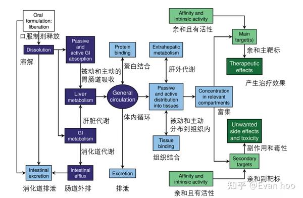ACD/Labs Percepta 药性优化背后的相关科学背景知识 - 知乎
