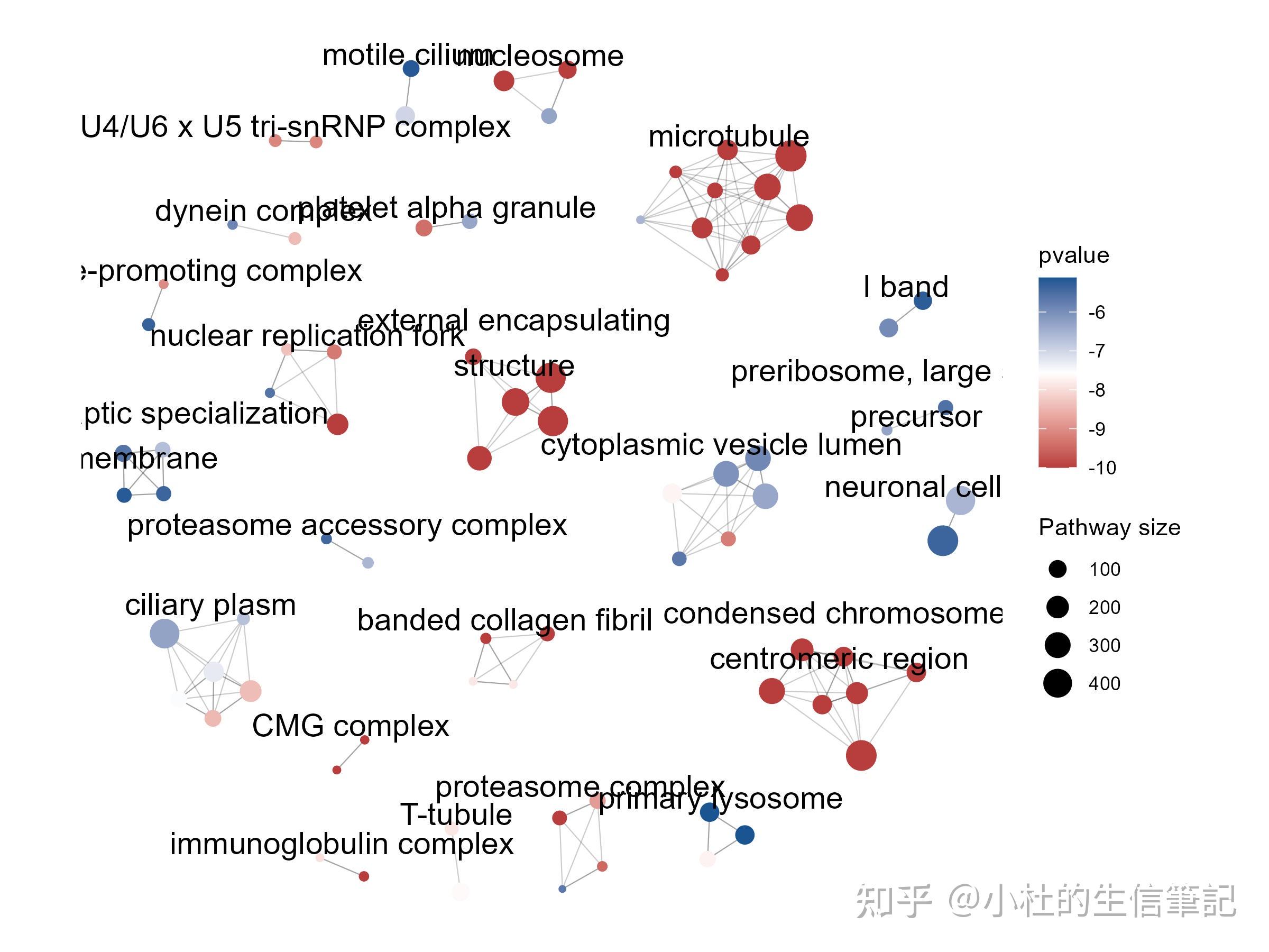 aPEAR包绘制功能富集网络图 - 知乎