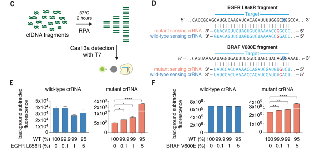 【CRISPR】张峰团队的夏洛克故事你看了吗 - 知乎