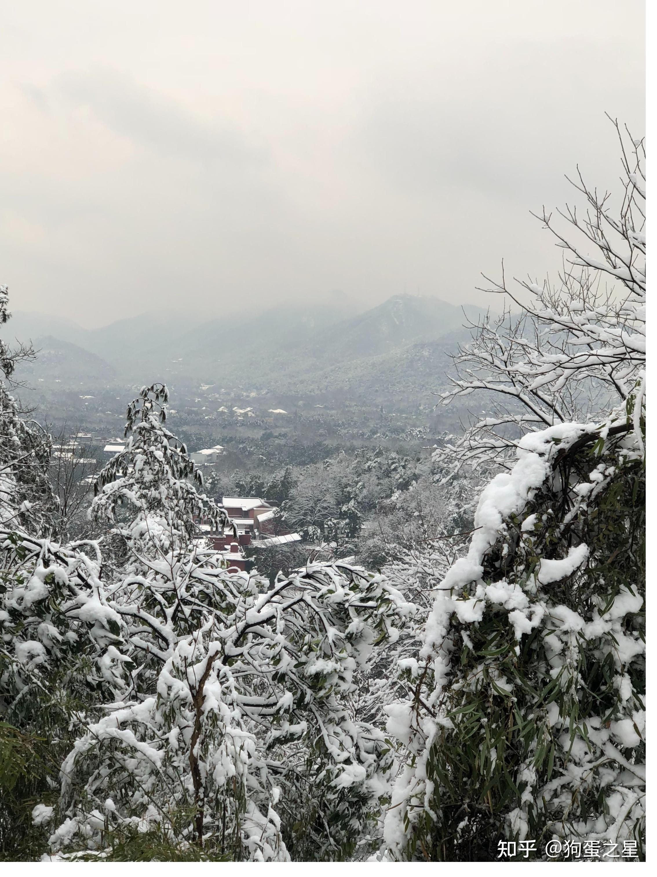 测评当前最强的单目深度估计模型--DepthPro（2025） - 知乎