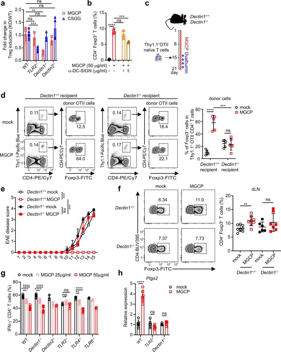 文献解读|细胞表面β-葡聚糖多糖的结构特异性决定了共生酵母介导的免疫调节活性 - 知乎
