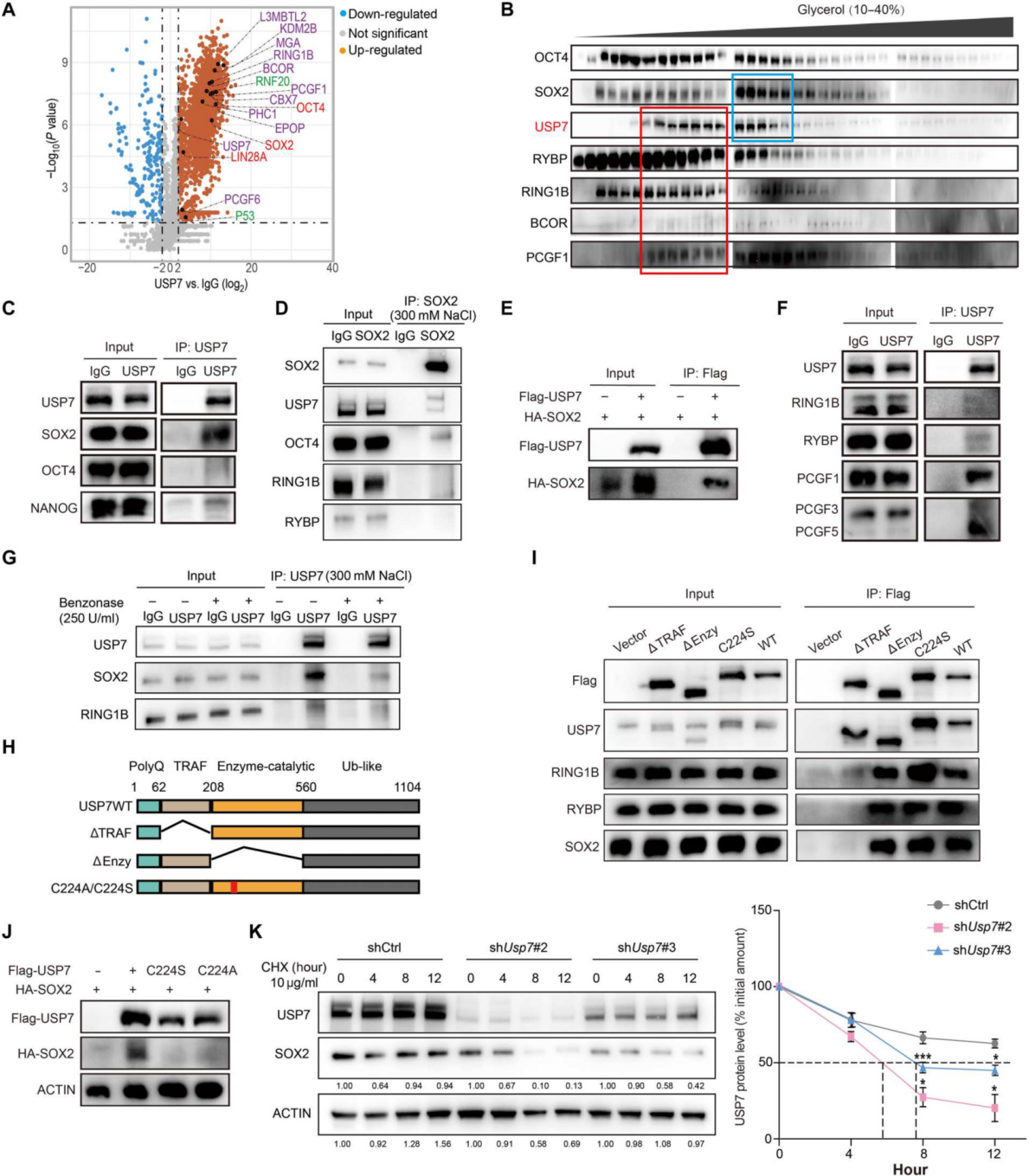 USP7通过催化和非催化两种活性抑制小鼠胚胎干细胞中的谱系分化基因 - 知乎