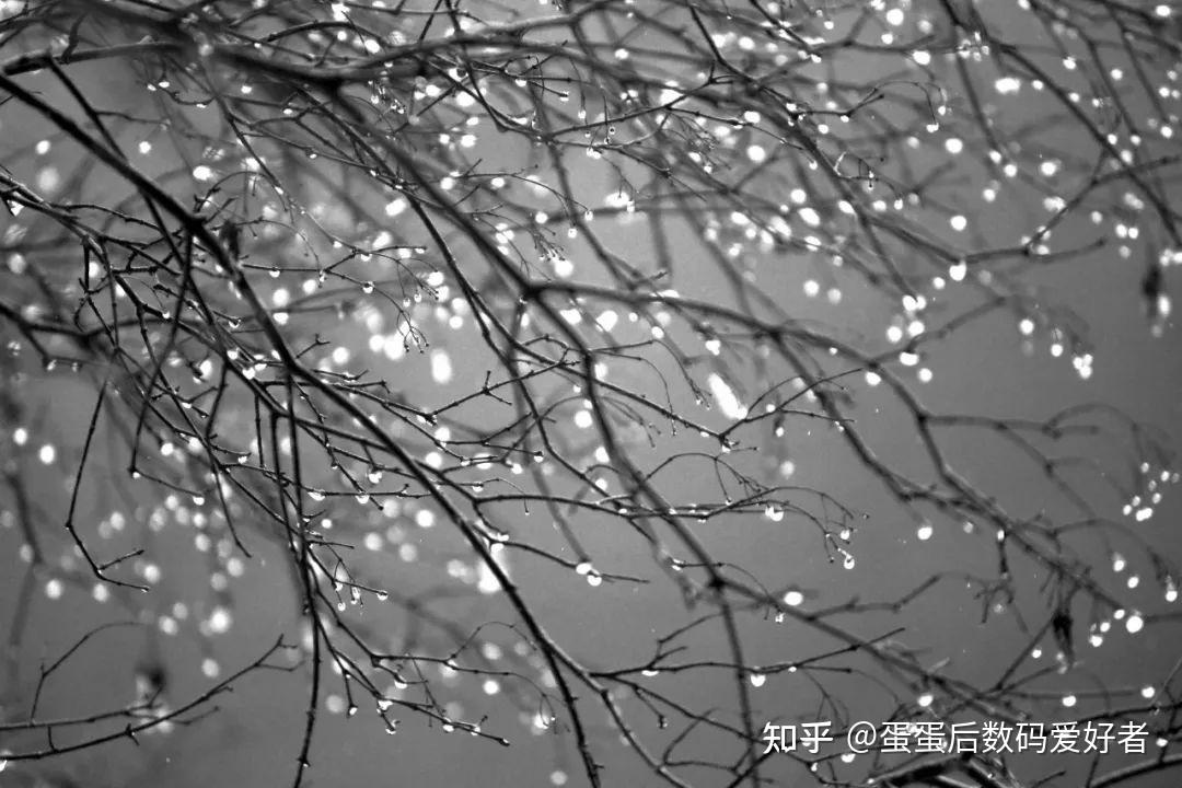 富士GFX100RF与徕卡Q3：我对比了两款顶级便携相机，结果更偏爱哪一款呢？ - 知乎