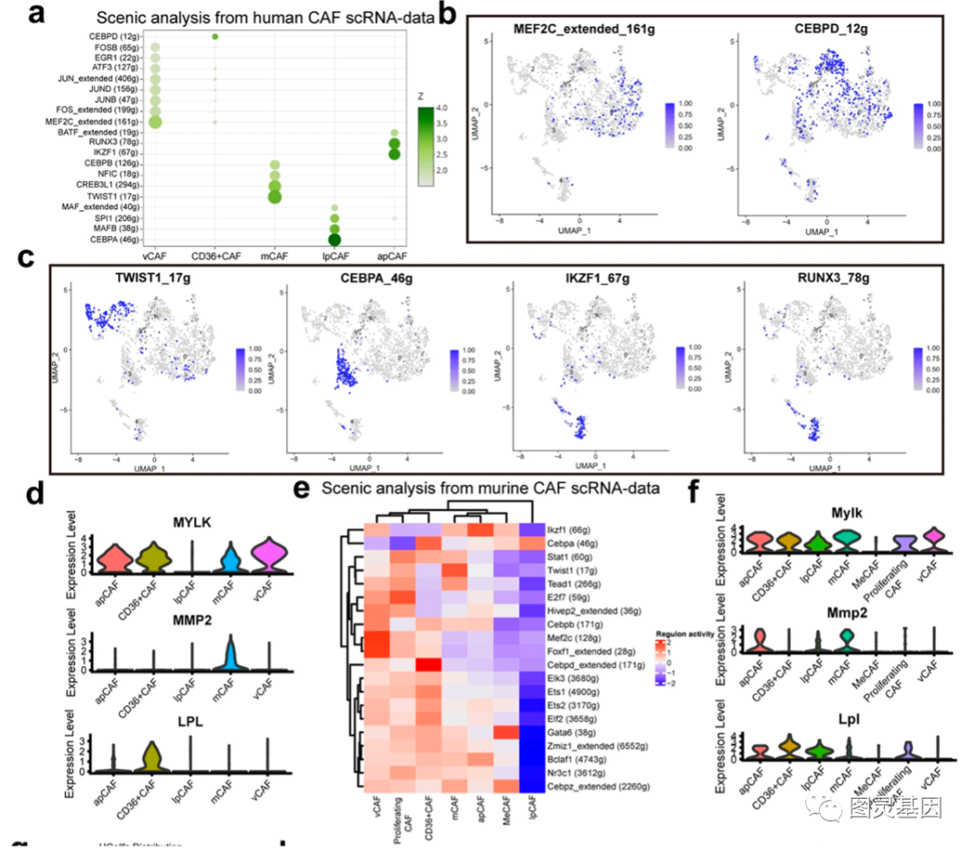 Cell Discov ｜ CD36+癌细胞抑制巨噬细胞迁移为肝癌提供免疫抑制微环境 - 知乎