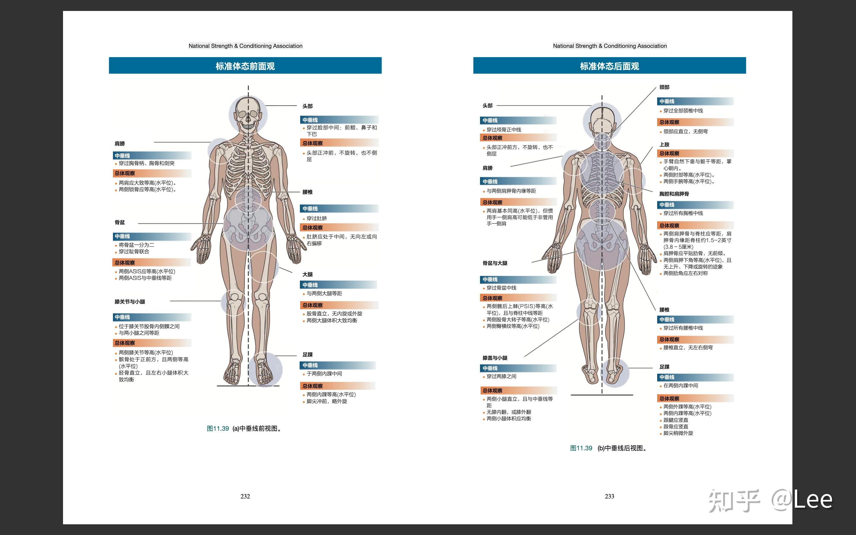 重磅！NSCA（美国国家体能协会）发布最新版私人教练认证指南（2022年第三版） - 知乎