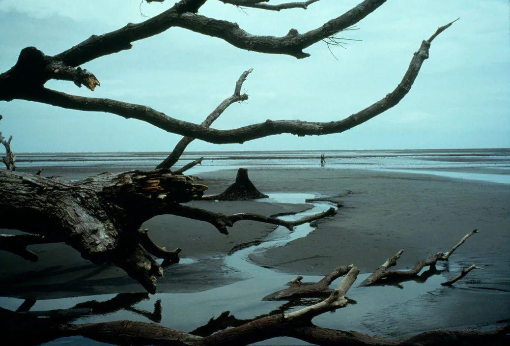 Alex Webb | 全集：99%的街拍照片都是失败的 - 知乎