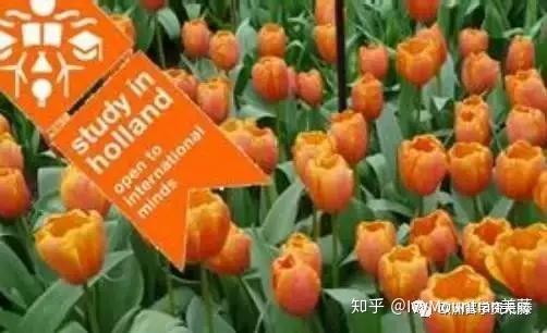 欧洲留学国家系列介绍之荷兰留学 - 知乎