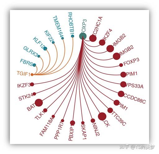 PySCENIC（四）：pyscenic结果之差异转录因子分析及其他可视化 - 知乎