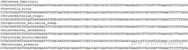 用Mega做进化树 - 知乎