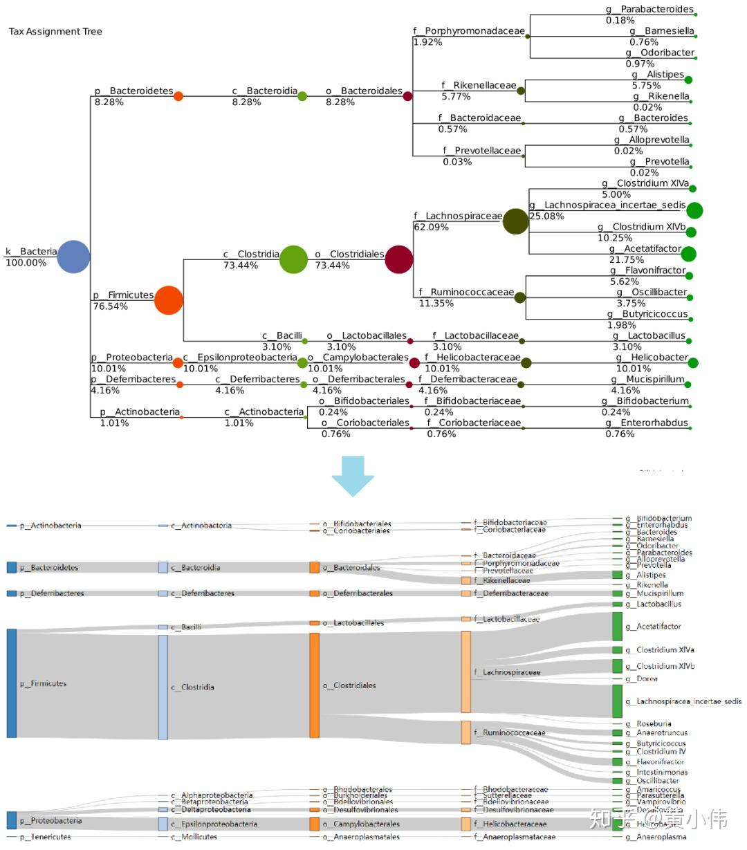 3个示例学会R包networkD3和plotly的桑基图绘制 - 知乎