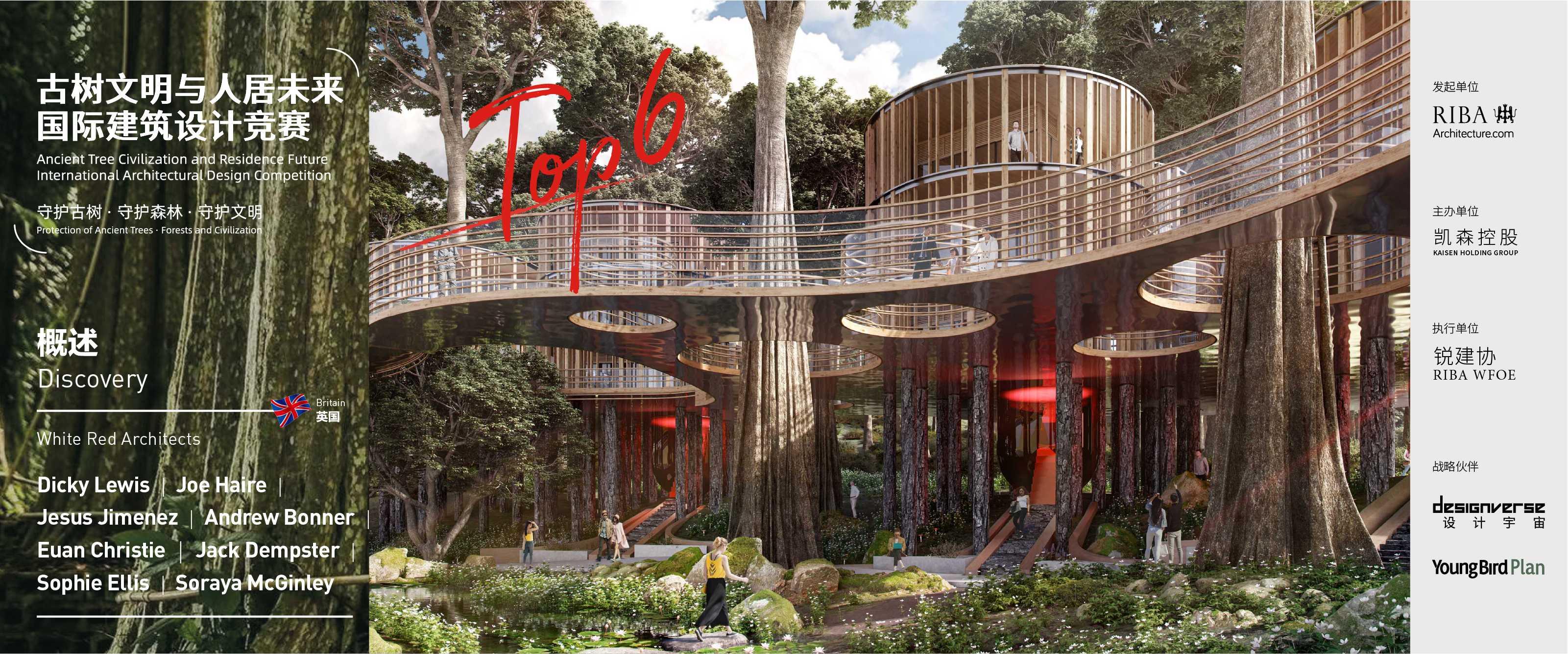 冠军发布丨2021年古树文明与人居未来国际建筑设计竞赛冠军及六强发布 - 知乎