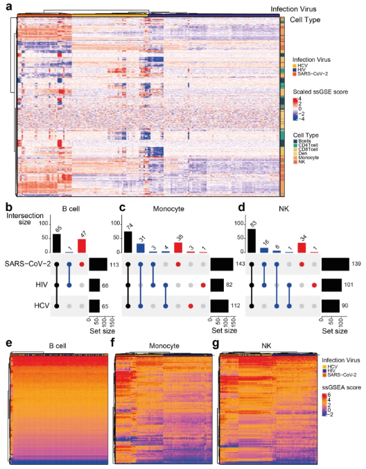 港中大团队开发了一种连接批量 RNA-seq 和单细胞 RNA-seq 的深度学习方法 - 知乎