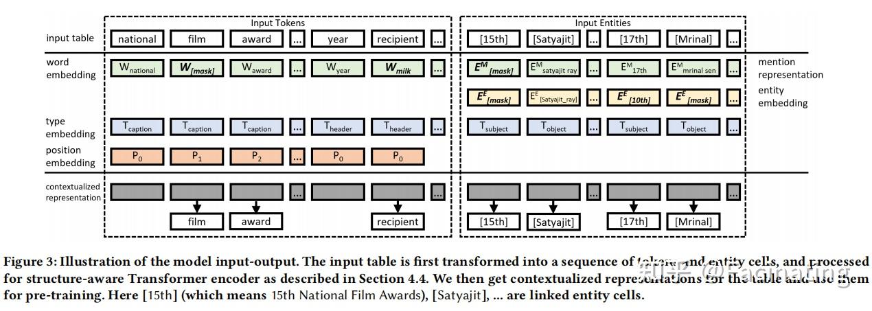 Table Pre-training（四）TURL（下） - 知乎