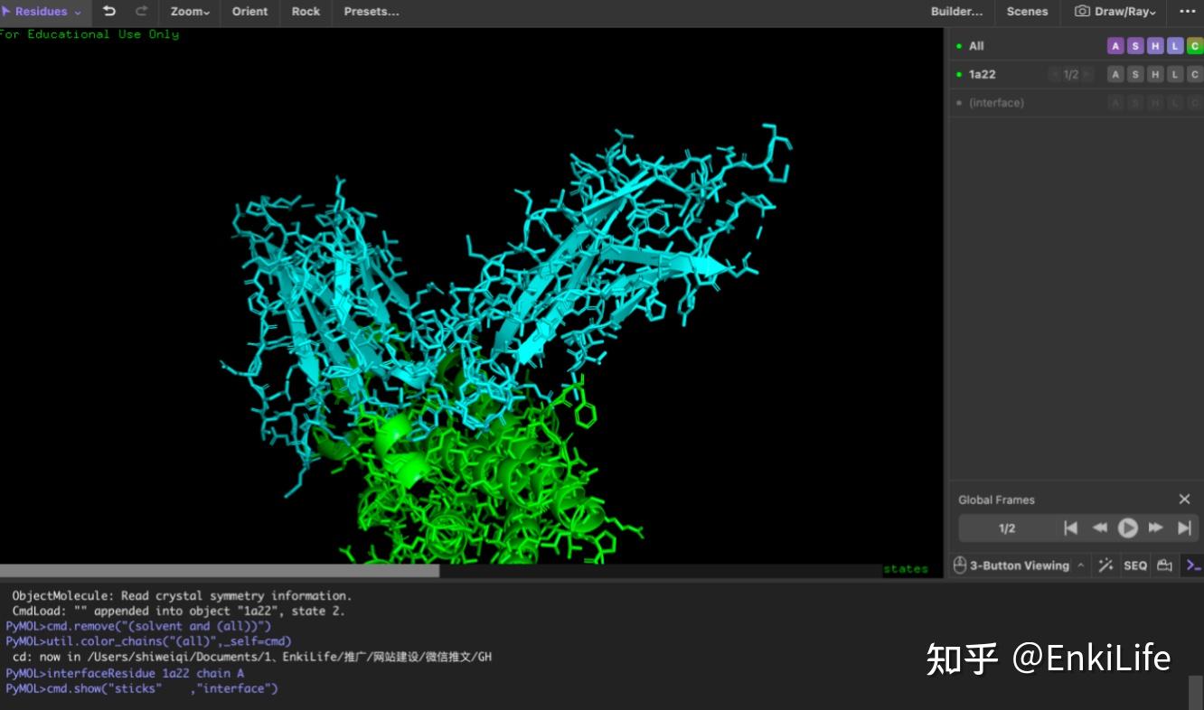 AlphaFold3预测结果不会分析？看看Pymol分析AlphaFold3预测结果有多香 - 知乎