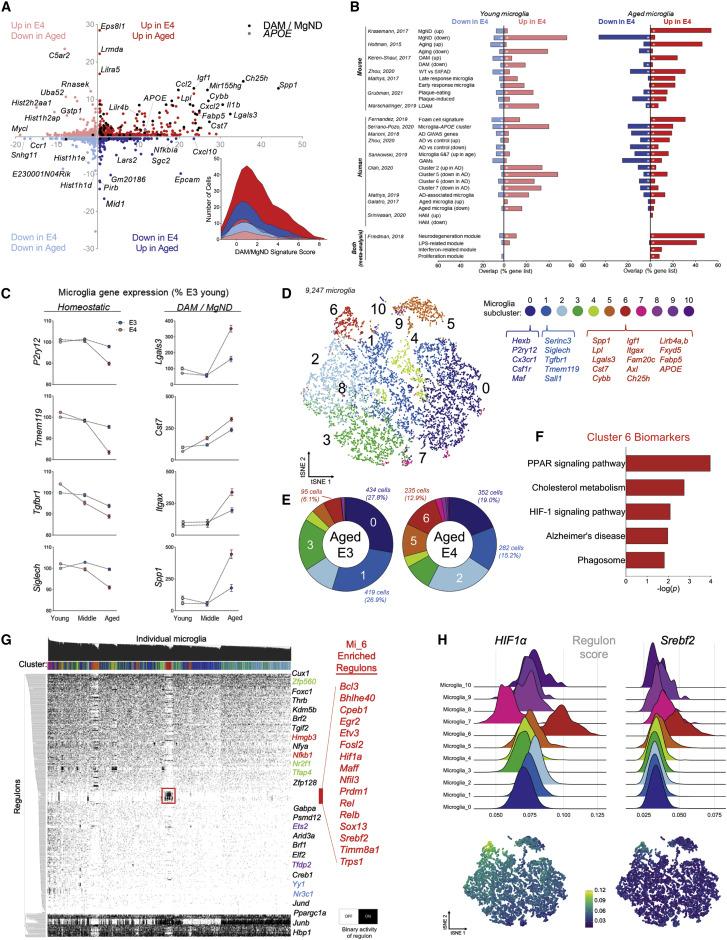 Cell Report | 应用时空组学联合揭示APOE在调节小胶质免疫代谢中的核心作用 - 知乎