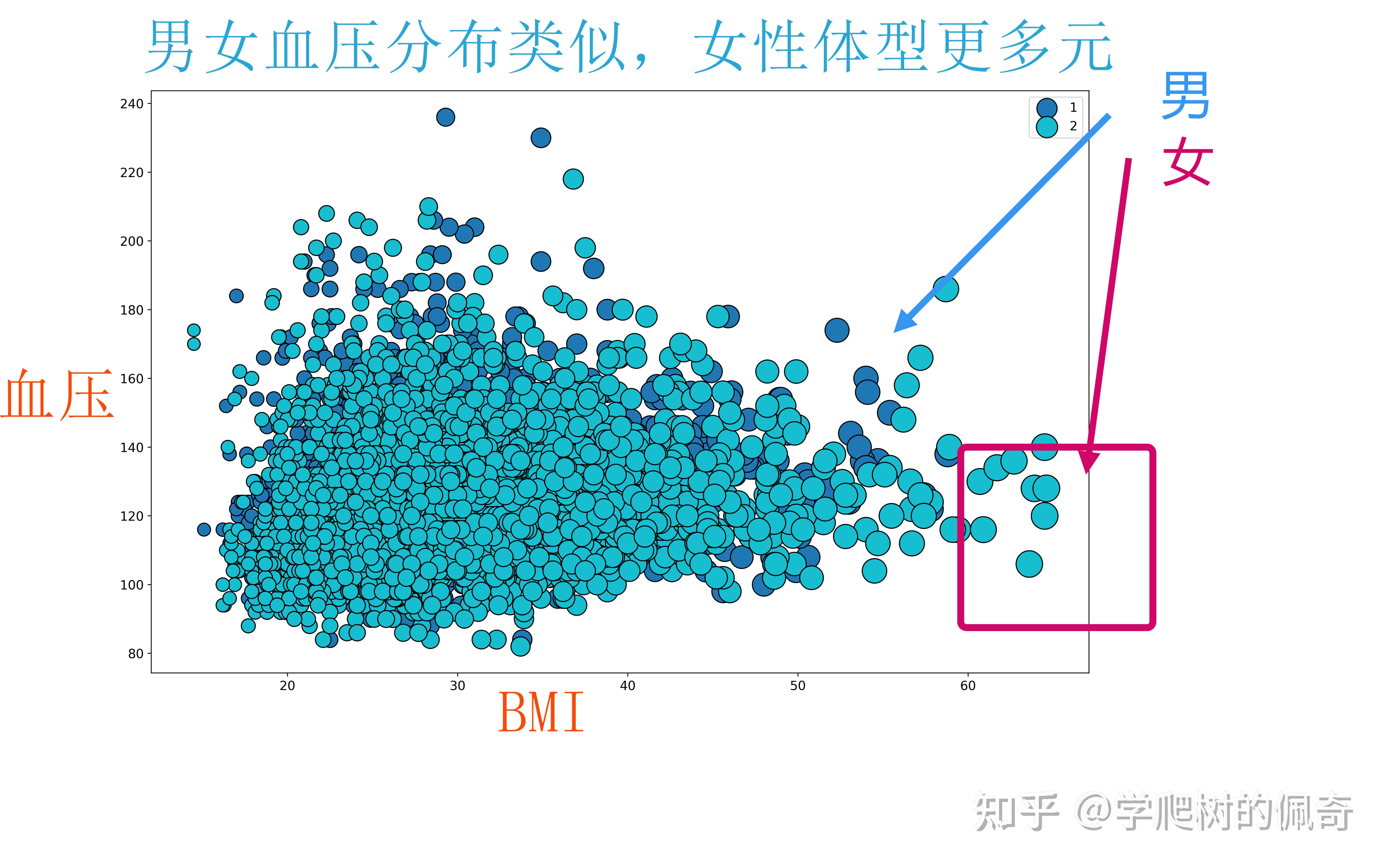 NHANES数据库练手DAY5（身高、体重与BMI） - 知乎