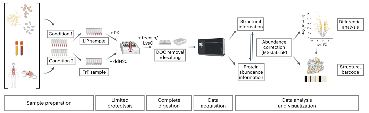 LiP-MS实验入门：从原理到操作，这份「可落地指南」帮你避开90%的坑 - 知乎