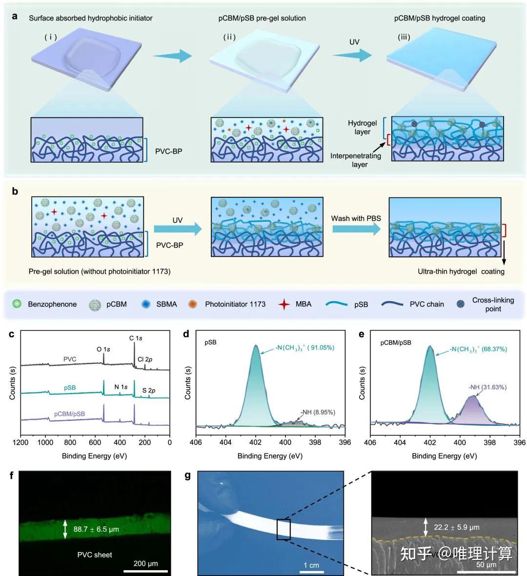 最新进展||天津大学李俊杰教授团队《Nat. Commun.》：微凝胶增强型水凝胶抗凝涂层 - 知乎