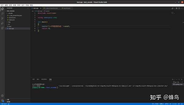 Linux系统下配置vscode 知乎