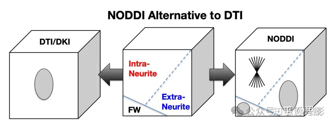 精神障碍中的神经突方向离散度和密度成像（NODDI) - 知乎