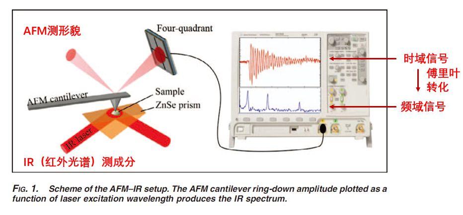 明星材料SAM，如何表征？用AFM-IR征服Nature！！ - 知乎
