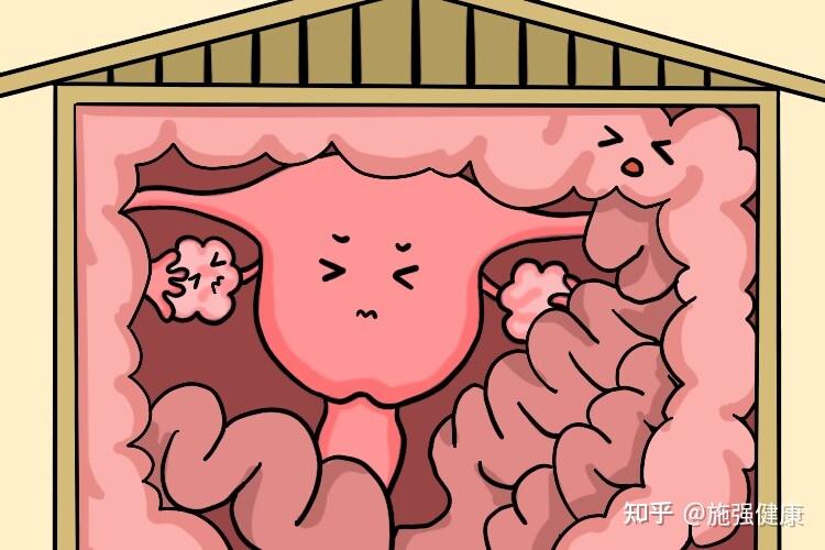 女友比我还「色色」?盘点男女都该了解的事儿 知乎
