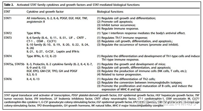 干货分享 | 带你快速入门JAK/STAT signaling pathways信号通路 - 知乎