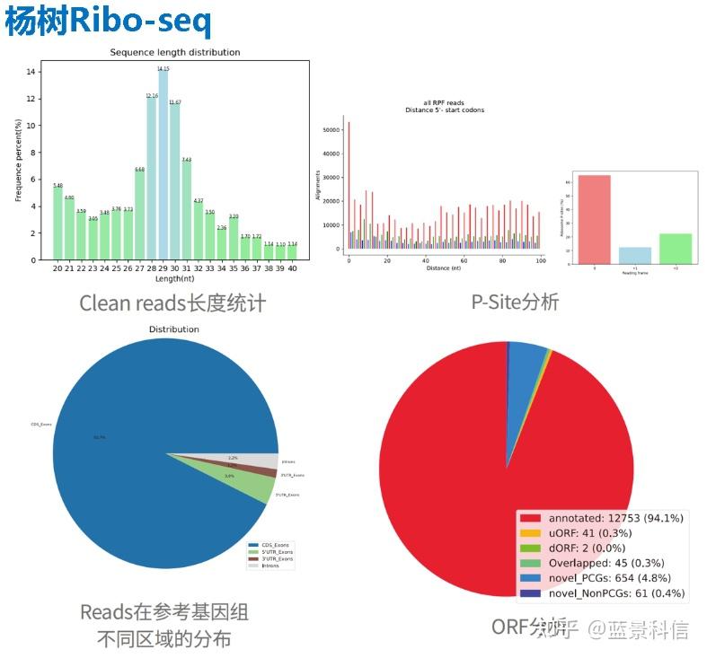 Ribo-seq：检测正在翻译的mRNA信息，连接转录组学与蛋白质组学的桥梁 - 知乎