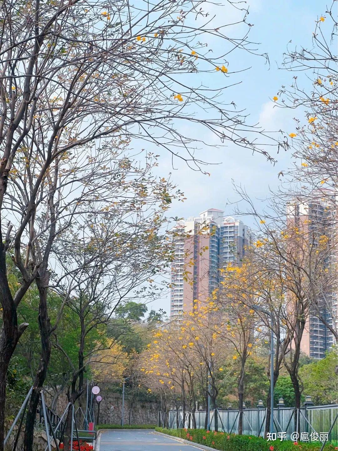学习笔记（431）丨降低自己的存在感 知乎