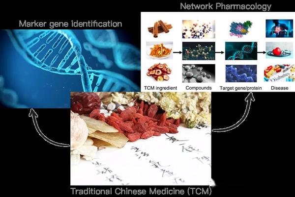 TCM2COVID/TCM-Suite数据库 - 知乎
