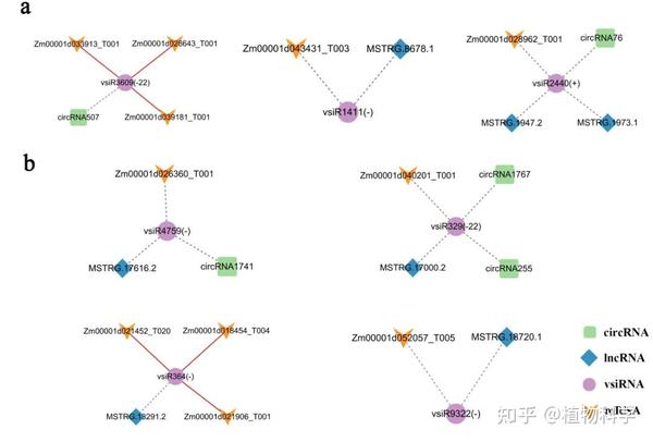 沈阳农大吴元华教授团队在SCMV致病相关ceRNA-vsiRNA-mRNA网络方面取得进展 - 知乎