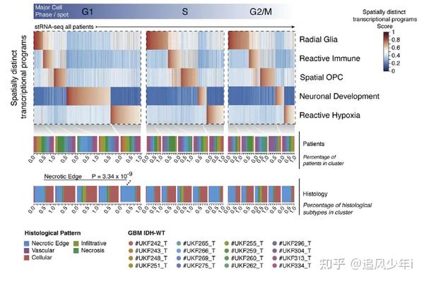 空间多组学分析破译胶质母细胞瘤中的双向肿瘤-宿主相互依赖性（空间微环境） - 知乎