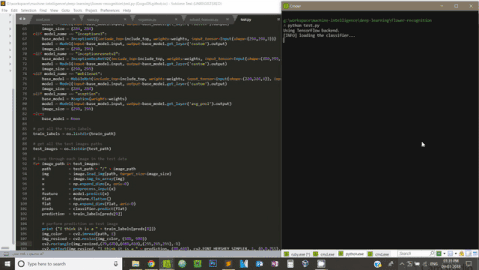 迁移学习：如何将预训练CNN当成特征提取器 - 知乎