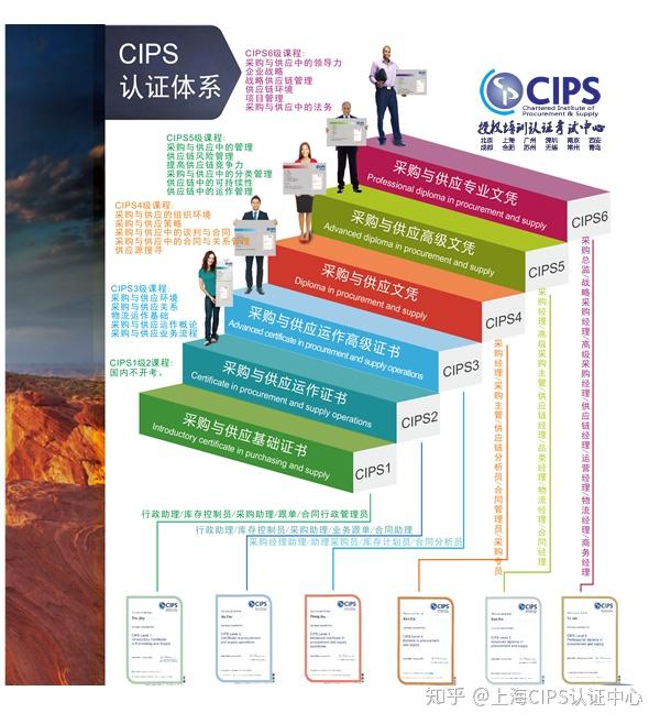 小白导读03：CIPS认证报考条件 - 知乎