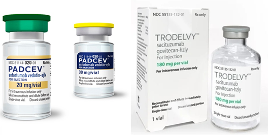 Seagen和Astellas的Padcev被FDA优先审查 - 知乎