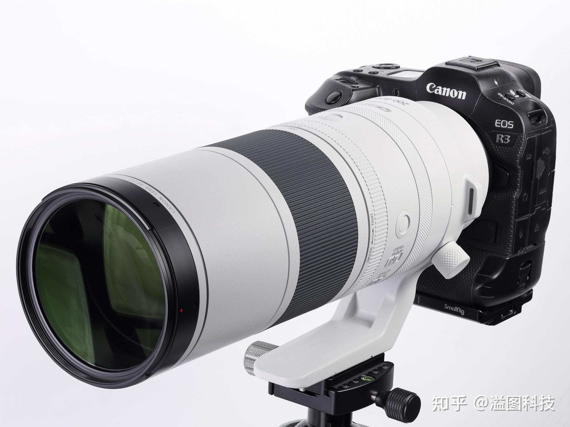 拍鸟新选择 佳能RF200-800mm深度体验 - 知乎