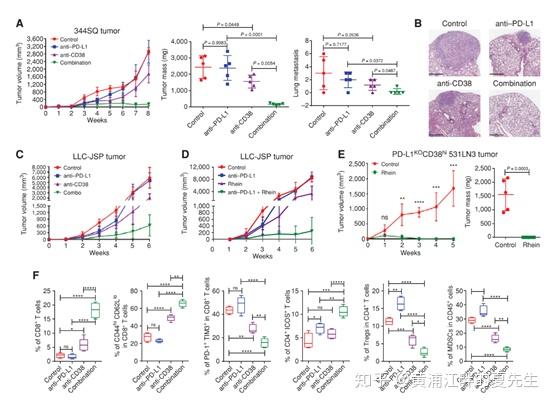 CD38靶点简介：具有免疫抑制作用的特异性蛋白 - 知乎