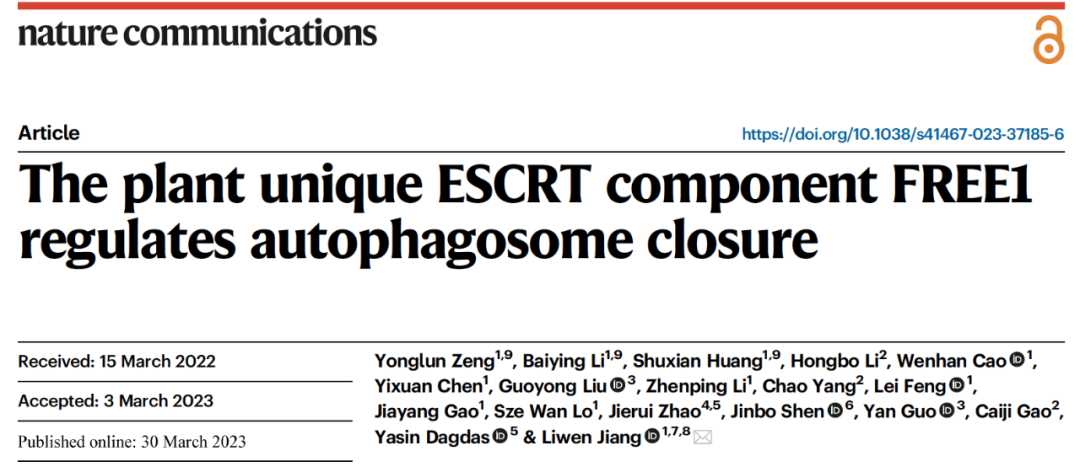 Nature Commun | 香港中文大学姜里文团队首次发现植物营养信号调控细胞器“缝合” - 知乎