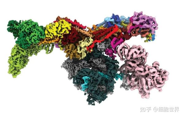 AlphaFold2从设计原理，算法到应用 - 知乎