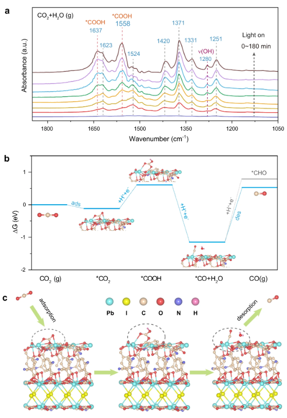 【催化+计算】最新顶刊：JACS、EES、Angew、Nature子刊、ACS Catalysis、ACS Nano等！ - 知乎
