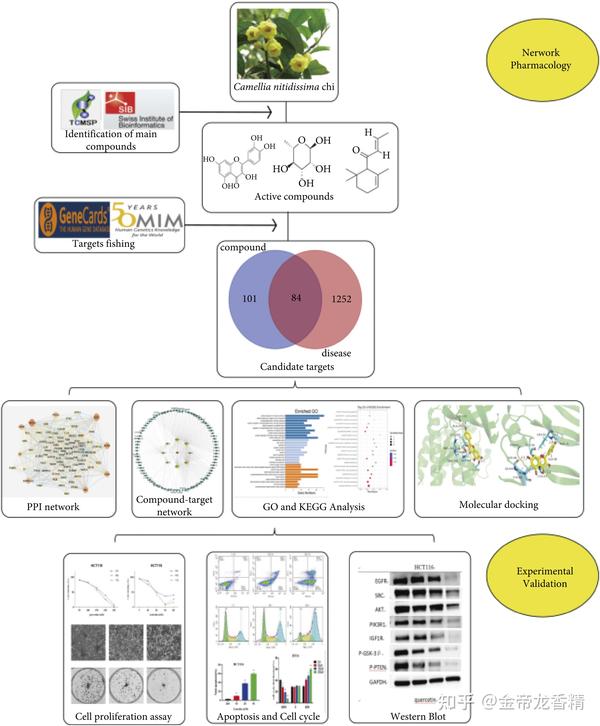 香精与香料(53)—突厥烯酮(Damascenone)与突厥酮(Damascone) - 知乎